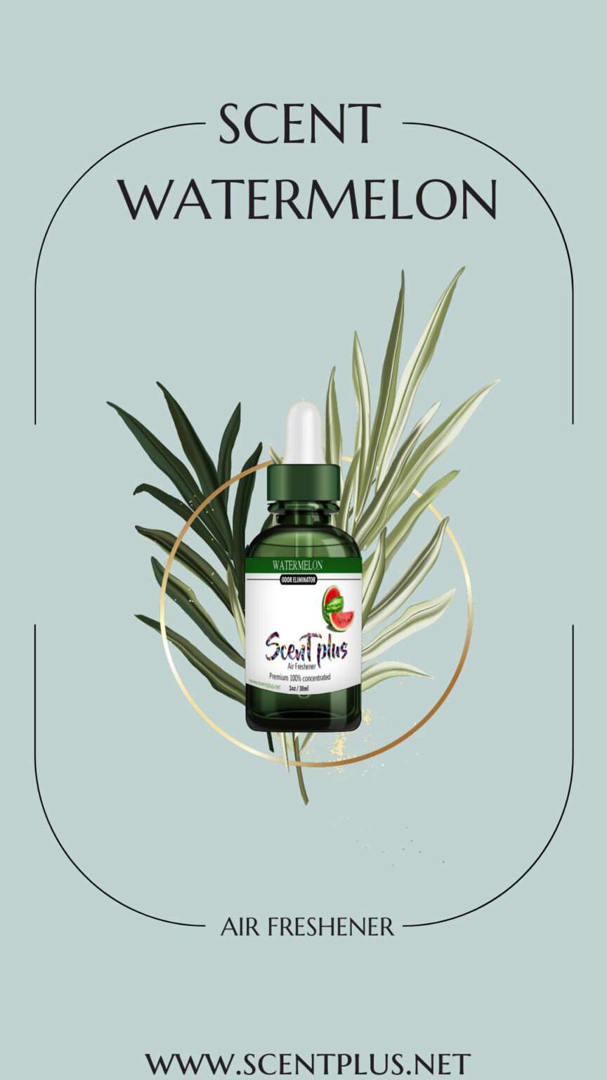 Photo Gallery - Scent Plus